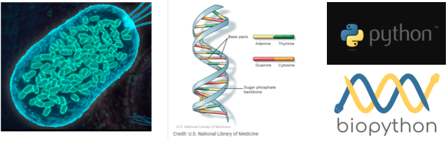 July 2019 Workshop – Code with Python and edit bacteria using CRISPR ...